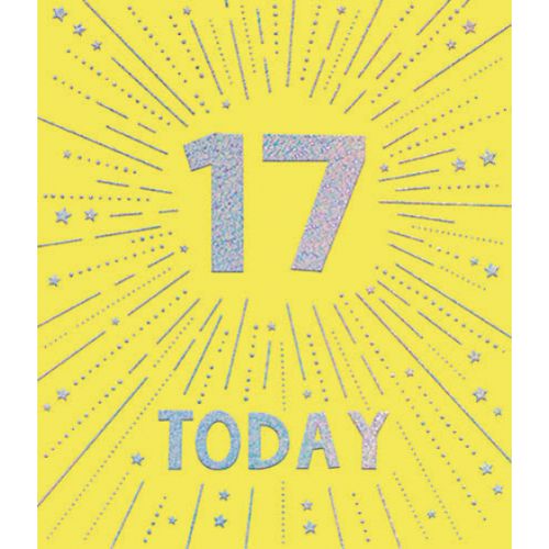 17 Birthday Card – A. B. Snell & Son