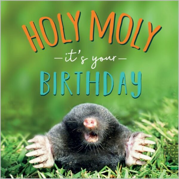 Holy Moly Card – A. B. Snell & Son
